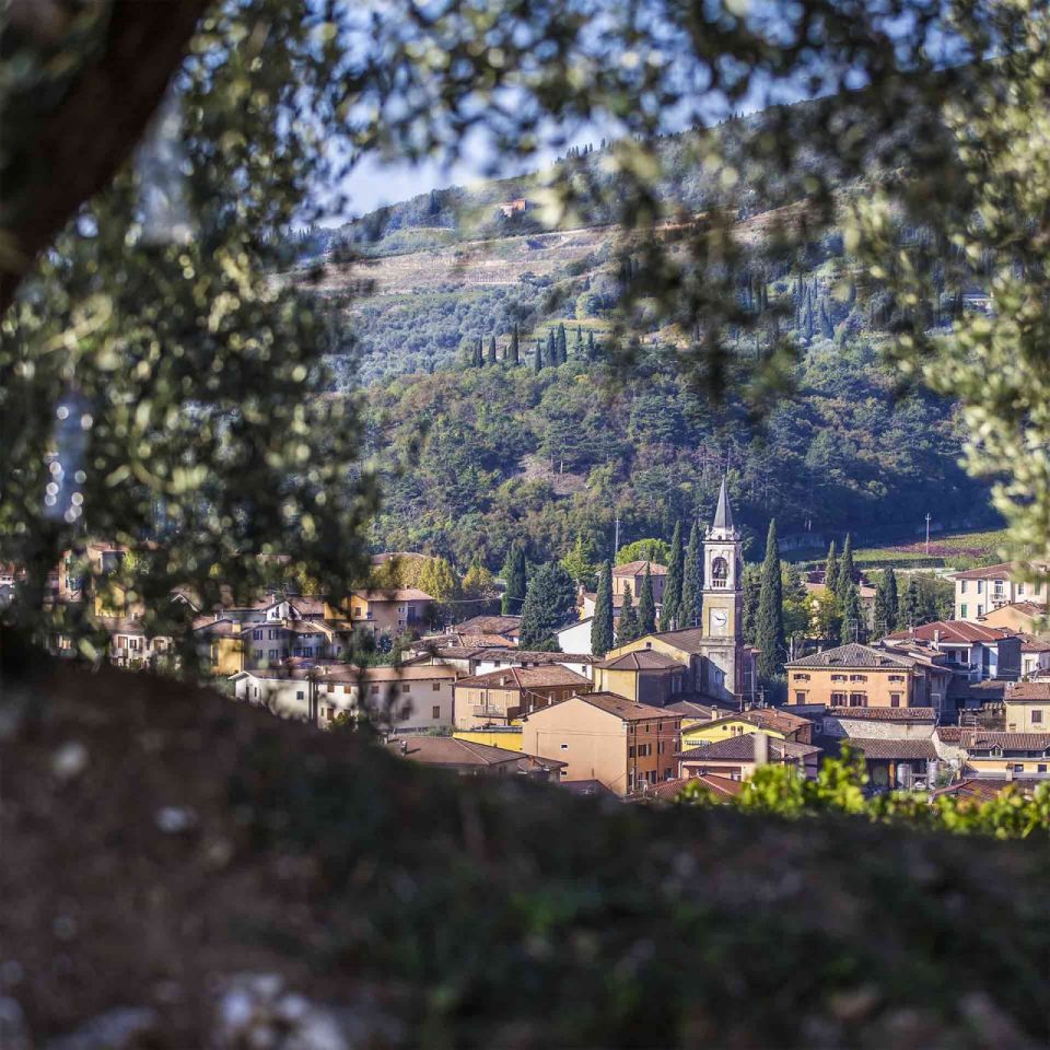 Negrar di Valpolicella